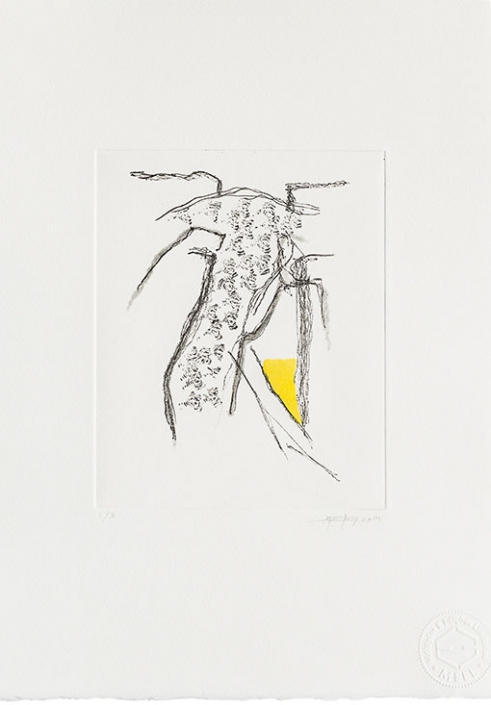 Alexandre Conefrey – MeelPress