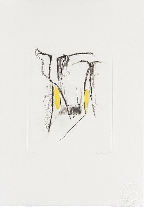 Alexandre Conefrey – MeelPress